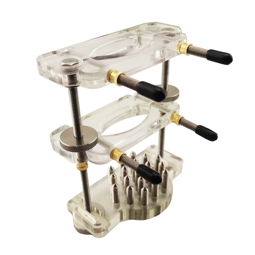 ACRYLIC TESTICLE CRUSHER AND STRETCHER - oyspace